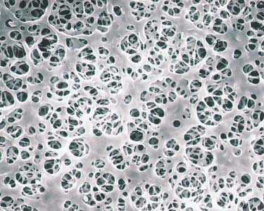 Supply Glass Fiber Membrane Pleated Cartridge Filters, Glass Fiber Filters